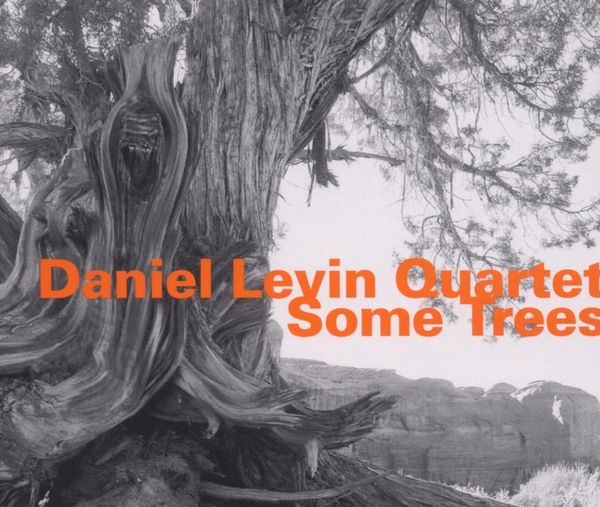 Daniel Levin Quartet - Some Trees | TYQmusic